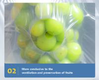 China Lot Clear Plastic Air Column Storage Bag for Red Wine Shock Proof Transparent Cushion Packing Pouch for sale
