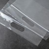 China Transparent Hand Ziplock Bag Frosted PE Disposable Shoes & Clothing Storage Bag for sale