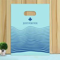China Eco Friendly Printed HDPE Hand Hole Bags Reusable Custom Logo Carry Bags for Retail for sale