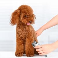China Low Noise Dog Grooming Kit Pet Clippers Cordless Electric Quiet Hair Trimmers Set for sale