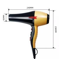 China Professional Salon High Power Hair Dryer 2200W Fast Drying Blow Dryer for sale