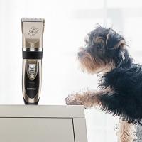 China 240V Pets Cats Dog Shaver Clippers Electric Quiet Hair Clippers Set for sale