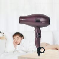 China ROHS Ionic 2400W High Power Hair Dryer With Diffuser AC Motor One Step for sale