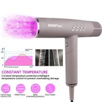 China Brushless Motor Ionic Foldable Hair Dryer Multipurpose Adjustable Speed for sale