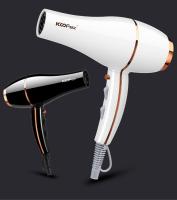 China Antifrizz Multiscene Salon Quality Blow Dryer 220 Volt Reusable Adjustable Speed for sale