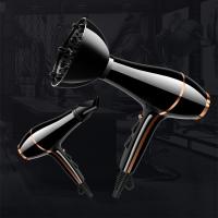China Antifrizz Multiscene Salon Quality Blow Dryer 220 Volt Reusable Adjustable Speed for sale