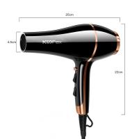 China PTC Heater Ionic High Power Hair Dryer With Diffuser Multiscene AC Motor for sale