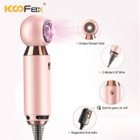 China Leafless 220V Household Hair Dryer Fast Drying Salon Mini Travel Portable for sale