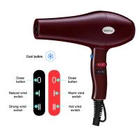 China Multifunctional AC 2600 Watt Blow Dryer , 50Hz Portable Travel Hair Dryer for sale