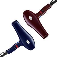 China Multifunctional AC 2600 Watt Blow Dryer , 50Hz Portable Travel Hair Dryer for sale