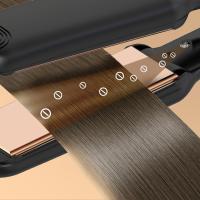 China Professional PTC Plate Electric Hot Hair Straightener 65W Custom Logo for sale