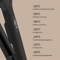 China Professional PTC Plate Electric Hot Hair Straightener 65W Custom Logo for sale