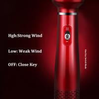 China OEM 3 In 1 Multifunctional Hair Dryer Brush 240V Hair Straightener Comb for sale