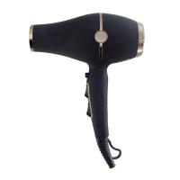 China Professional Travel Hair Dryer Salon Barber Shop 4 Degrees Temperatures With Cutting Edge for sale