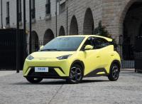 China BYD Seagull EV Car 405KM Flying Edition The Game-Changing Electric Vehicle for Adults for sale
