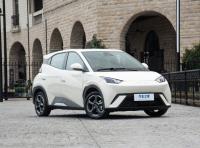 China BYD Seagull EV The Perfect Combination of Performance and Affordability for B2B Marke for sale