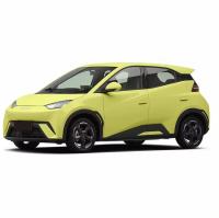 China Level Up Your Commute with BYD Seagull 2024 Flying Edition 100% Electric Small SUV Car for sale