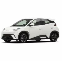 China Level Up Your Commute with BYD Seagull 2024 Flying Edition 100% Electric Small SUV Car for sale