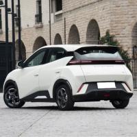 China BYD Seagull Flying 2024 The Innovative Electric SUV for Energy Vehicles Suppliers for sale