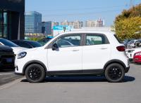 China Leapmotor T03 Mini Electric Car for Adults 2024 Design 4 Wheels Energy Vehicle Made for sale