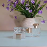 China 25ML 50ml Glass Perfume Spray Bottle Refillable 500 Pcs for sale