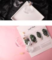China OEM 50ml 20 ml Perfume Spray Bottle  portable perfume bottle flat round glass for sale