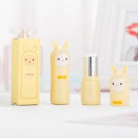 China Cute Empty Lipstick Tube pink blue yellow private lable lipstick tubes for sale