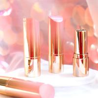 China Rose Gold Empty Lipstick Tube  ound Container  luxury lipstick tube for sale