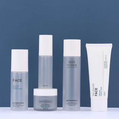 China Matte Frosted Lotion Airless Bottles Cosmetic Packaging SGS MSDS for sale