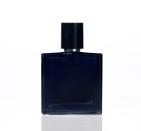 China Screen Printing Refillable Perfume Bottle With Pump 50ml 30ml for sale