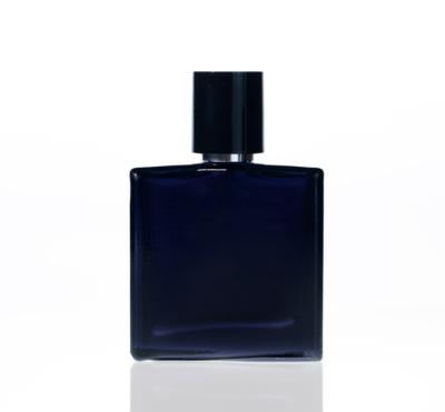China Screen Printing Refillable Perfume Bottle With Pump 50ml 30ml for sale