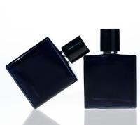China Screen Printing Refillable Perfume Bottle With Pump 50ml 30ml for sale