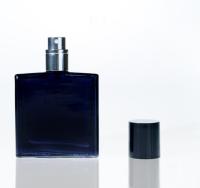 China Screen Printing Refillable Perfume Bottle With Pump 50ml 30ml for sale