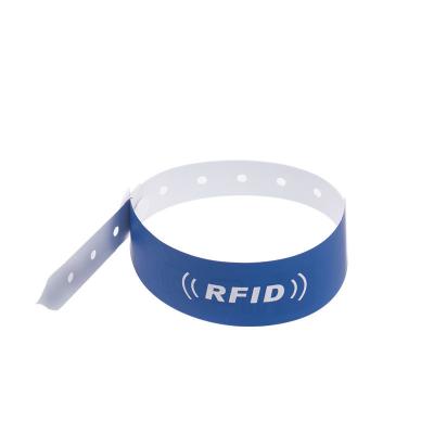 China Custom PVC Vinyl Wristband Twelve Zodiacs Design 250x25mm Adult Size Waterproof for sale