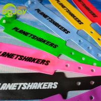 China Custom Logo PVC Vinyl Wristbands 250x25mm for Amusement Park Events Waterproof for sale