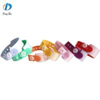 China Colorful PVC Vinyl Wristband for Children at Entertainment Park 250x25mm Adult 170x18mm Child for sale