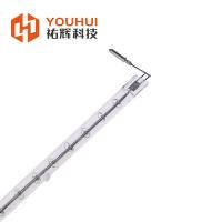 China Factory Batch Customization Single Tube Quartz Infrared Lamp with Pin-Type Lamp Holder for Halogen Infrared Heater Lamp for sale