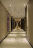 China Ozone Generator Project Treatment of New Hotels With Formaldehyde And Decoration Odor for sale
