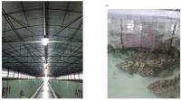 China Aquaculture Water Treatment Ozone Generator Project By Ozone Machine for sale
