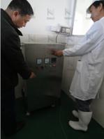 China CE Approval Food Processing Center Ozone Generator Project Water Treatment for sale