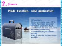 China 7g / Hr Portable Commercial Ozone Generator Removing Odor / Washing Fruits Use for sale