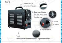 China Hotel Car And Toilet Household Ozone Generator 3g / Hr 5g / Hr for sale