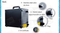 China Hotel Car And Toilet Household Ozone Generator 3g / Hr 5g / Hr for sale