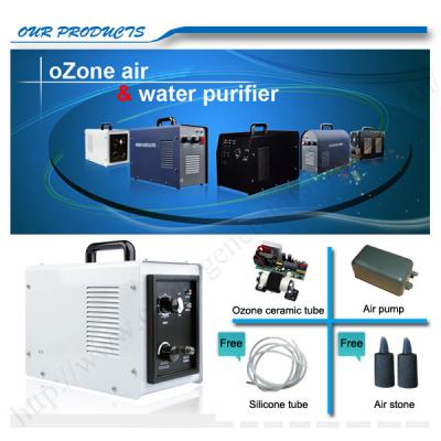 China 110V / 220V Household Ozone Generator For Vegetables And Fruits Washing for sale