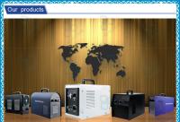 China 110V / 220V Household Ozone Generator For Vegetables And Fruits Washing for sale