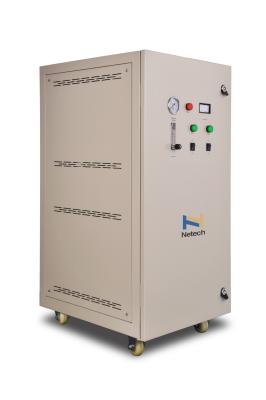China High Concentration Car Ozone Generator 220V With PSA 15 - 30LPM for sale
