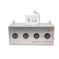 China 6g 12g Wall Mounted Ozone Air Purifier 220v Hotel Odor Removal Ozone Generator for sale