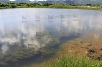China Ozone Generator Water Treatment Aquaculture Water Treatment For Shrimp Farming for sale