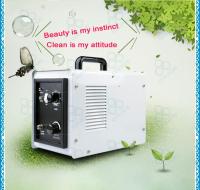 China 3g Ceramic Ozone Tube System Ozone Generator Kits 300 * 173 * 270 for sale