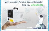 China 3g Ceramic Ozone Tube System Ozone Generator Kits 300 * 173 * 270 for sale